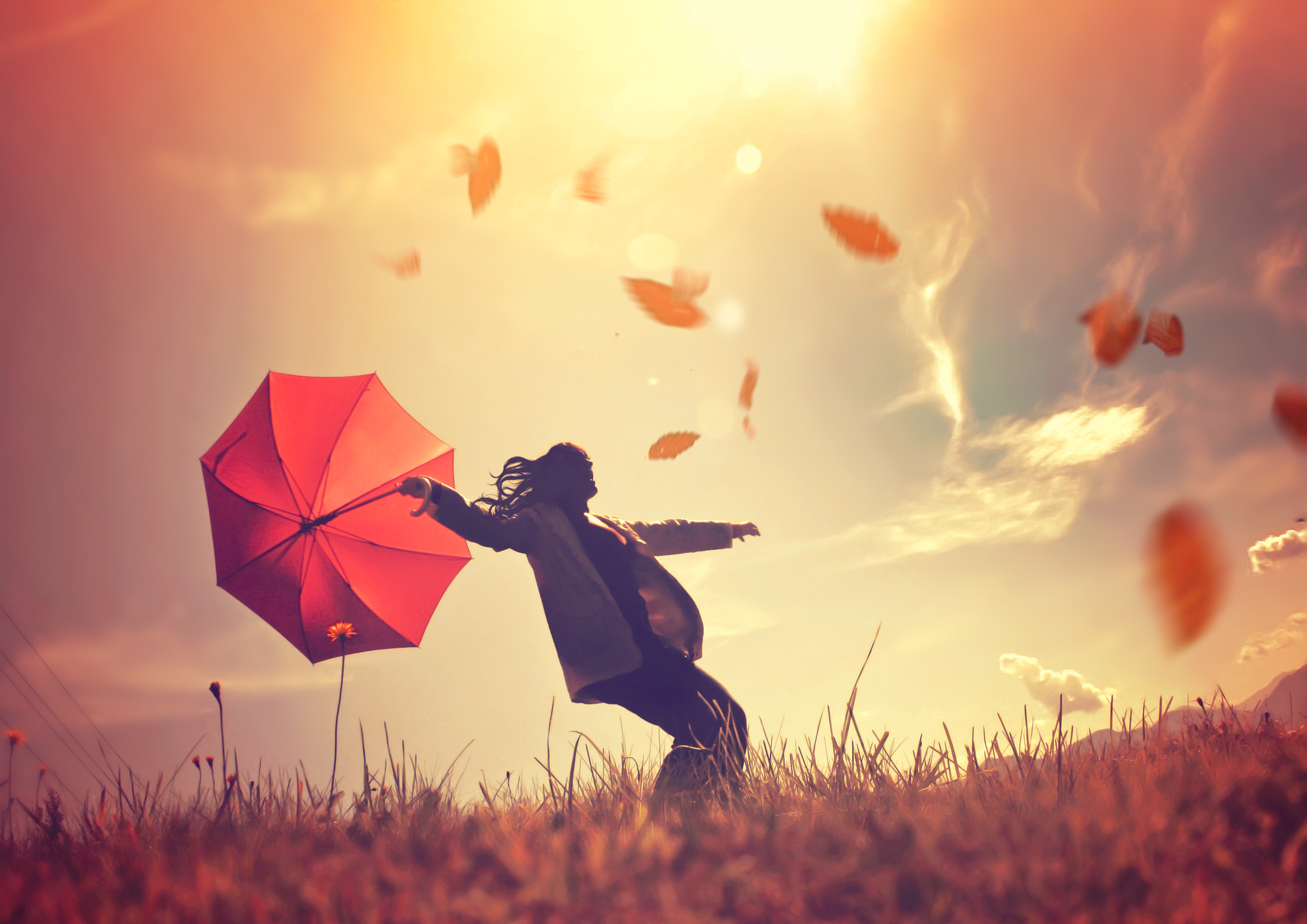 5 Tips to Beat the Autumn Blues